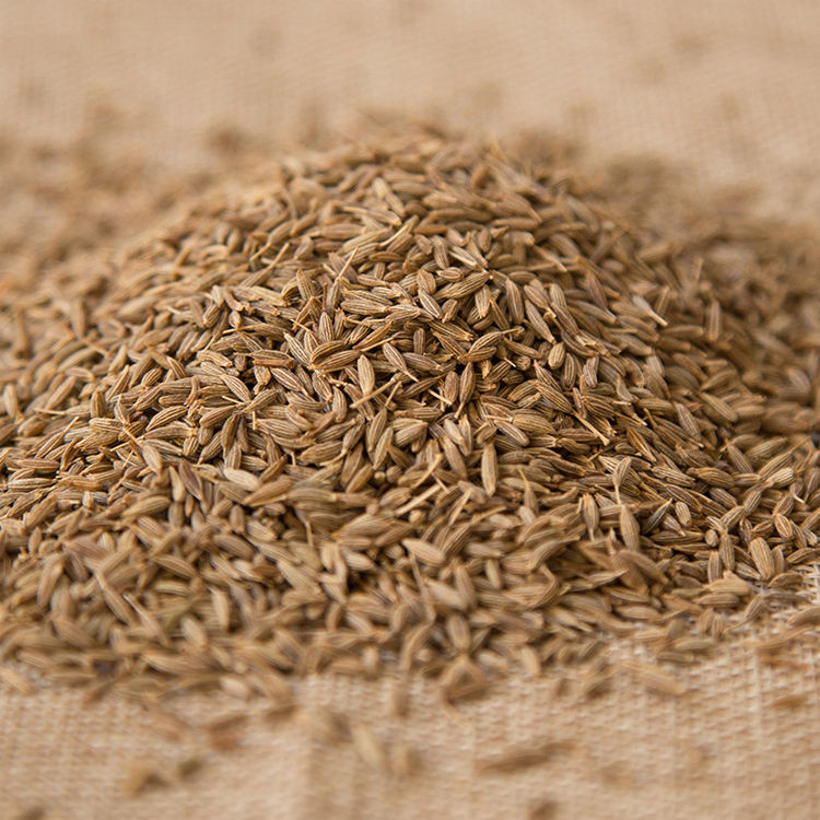 ZZH Cumin Seeds from India - Pure Natural & High Quality
