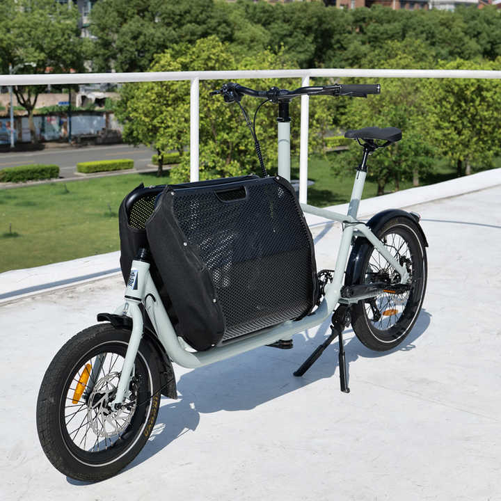 Cargo Electric Bike for Family Commuting & Transport, 160kg Load Capacity