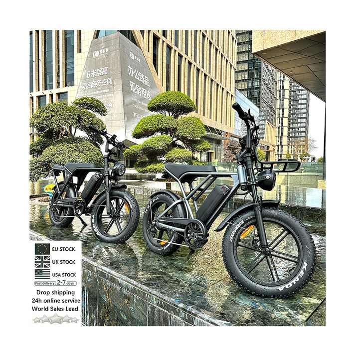 VOMO C80 5.0 Fatbike - off-Road Ebike for 20inch Wheels