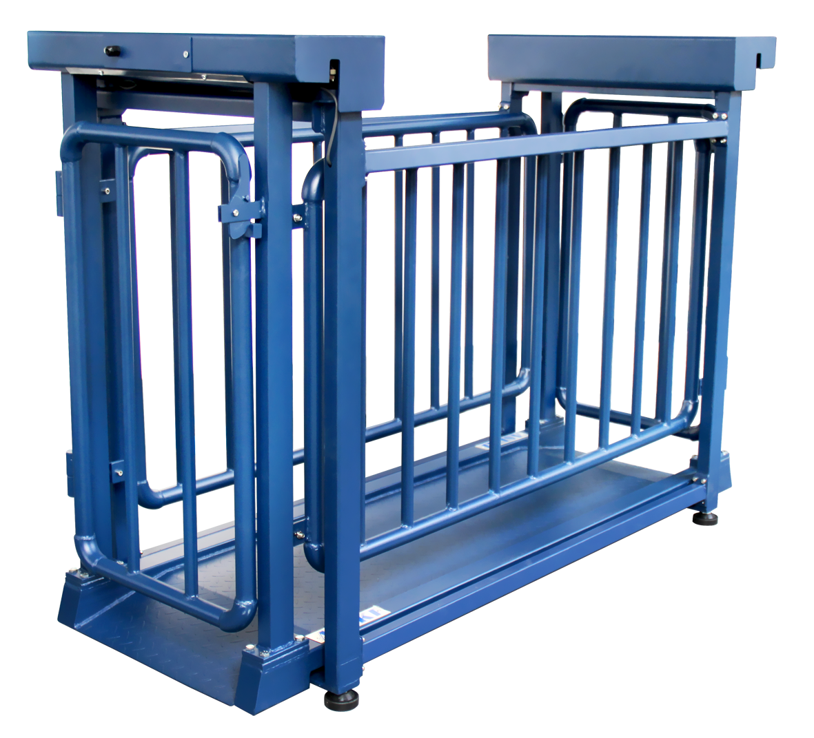 Digital Stainless Steel Livestock Scale - Customizable OEM Support
