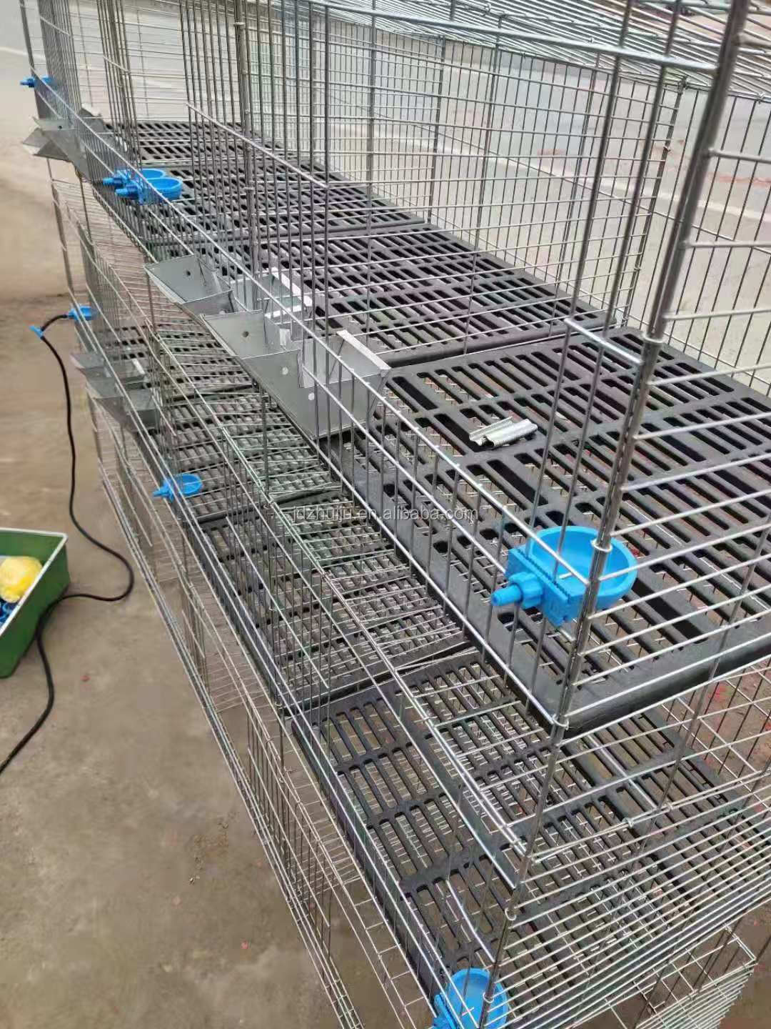 Commercial Rabbit Farming Equipment - Automatic Cages for Sale