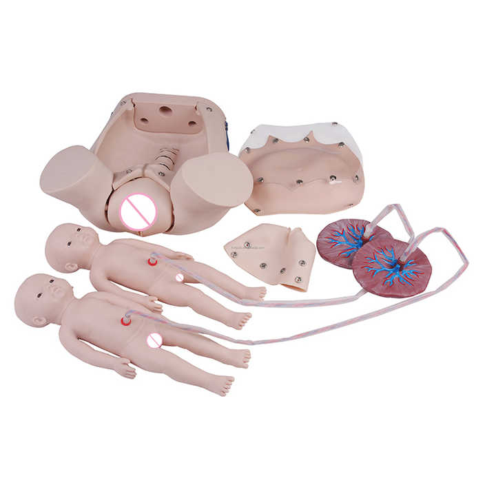 Childbirth Simulator with Fetus Placenta for Obstetrics Skills Training ...