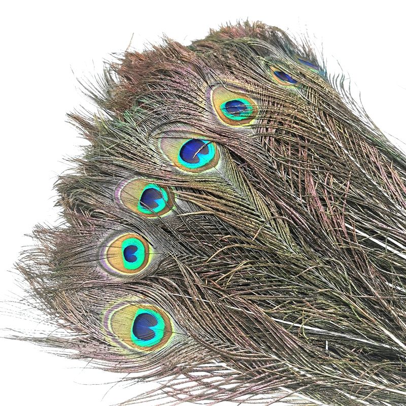 Luohe Yijiaxiang Trade Co., Ltd. - ostrich feather, rooster feather