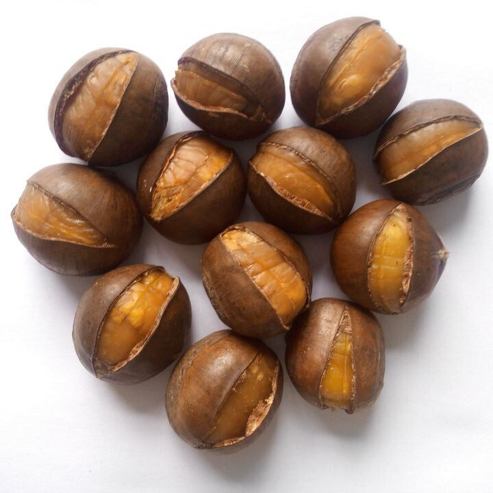 Wholesale Frozen Chestnuts - Sweet, Organic, and Ready to Eat