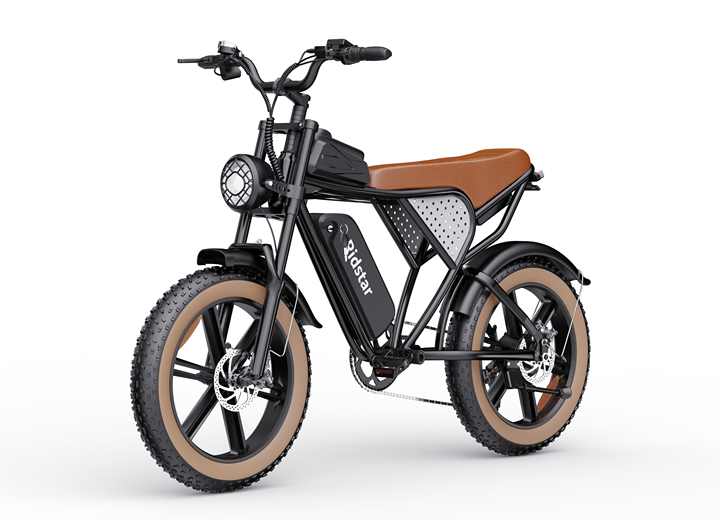 Ridstar 20 Full Suspension Electric Bicycle - 1000W MTB Ebike