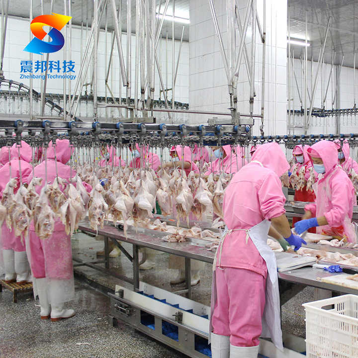 Zhenbang Halal Slaughtering Equipment - High Productivity