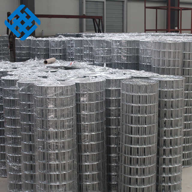 Chicken Wire - Durable Galvanized Steel Welded Mesh