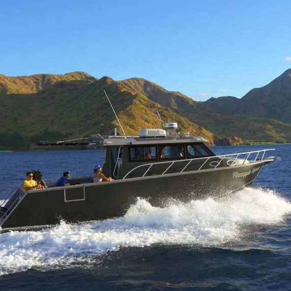 Poseidon Luxury 36ft Aluminum Fishing Speed Boat - 35 Knot Outboard ...