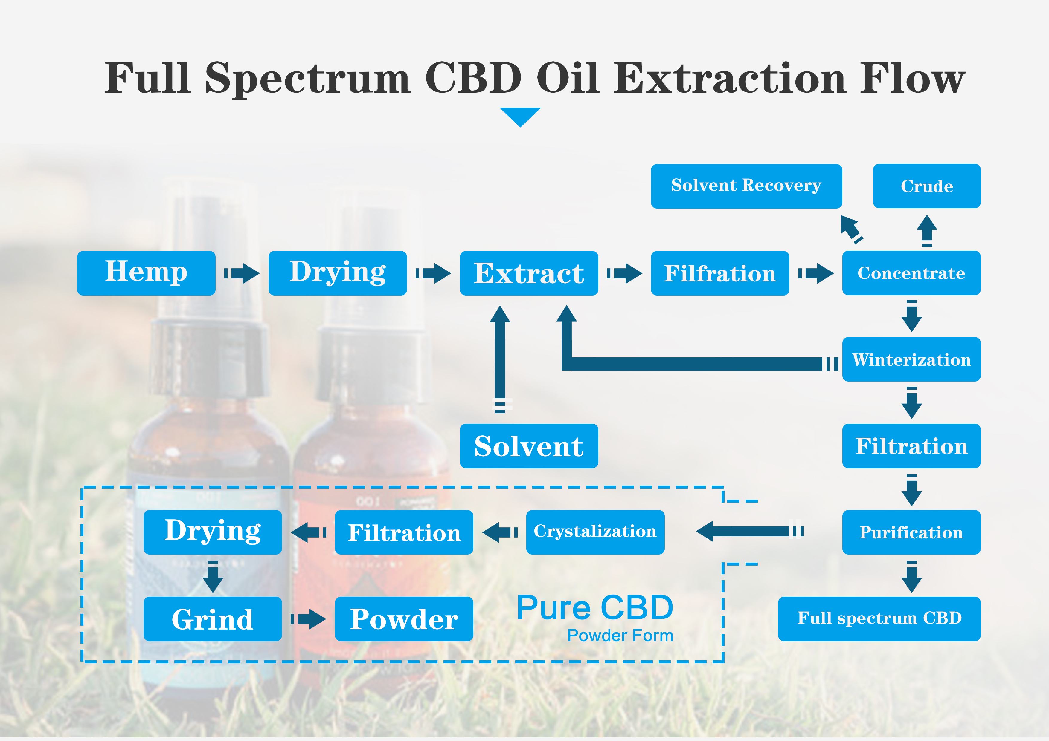 China Automatic Ginger Oil Extraction Machine Essential Oil Extraction