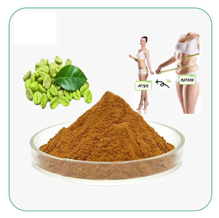 Natural Green Coffee Bean Extract - Chlorogenic Acid Powder