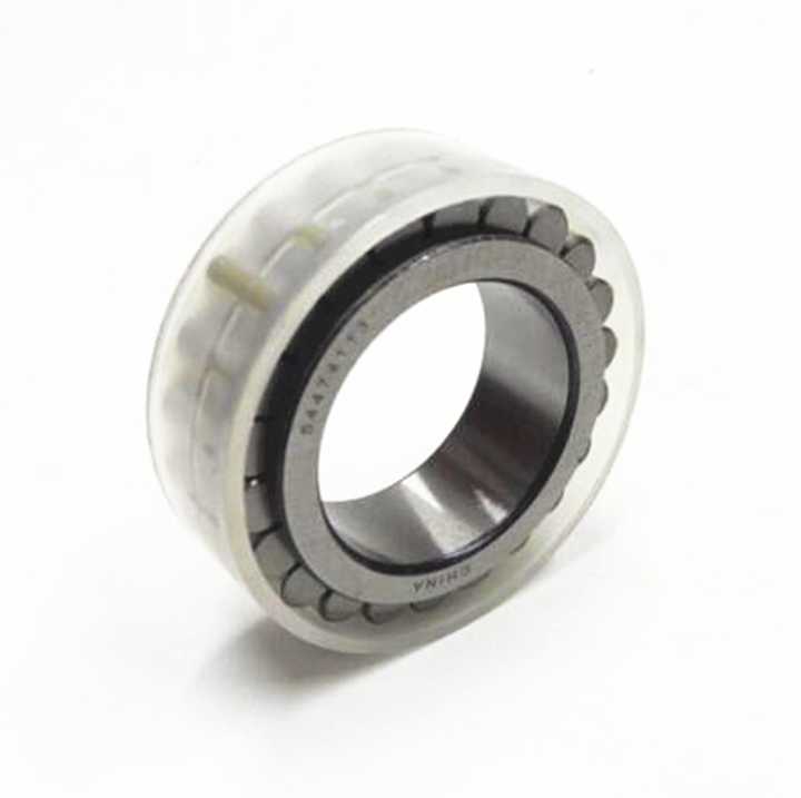 CPM2620 Full Complement Cylindrical Roller Bearing 55x94.76x100mm