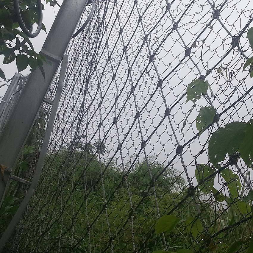 AAA Slope Stabilization Mesh System - Rockfall Protection