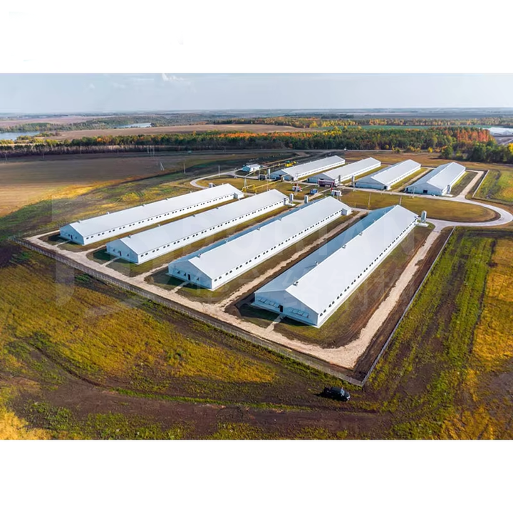 Large Poultry Chicken Houses Farm Building for Sale