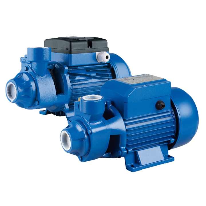 Electric Cast Iron Peripheral Copper Vortex Impeller Pump