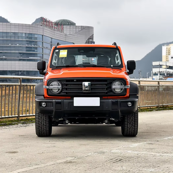 Luxury 5-Seater 4x4 2024 G W M Ta nk 300 SUV Off-Road Vehicle| Alibaba.com