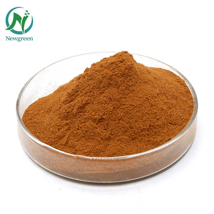 Nwegreen 98% Silymarin Powder Food Grade Milk Thistle Extract Powder ...