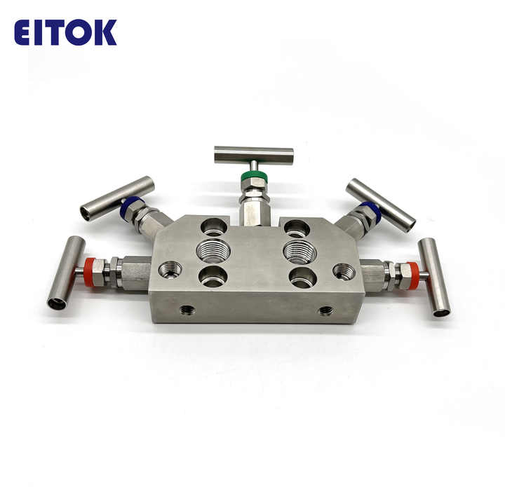 Five Way Manifold Valve SS316 6000psi - Eitok Custom Support