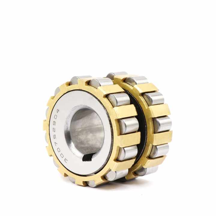 Double Row Eccentric Bearing RN 206 M - High Performance