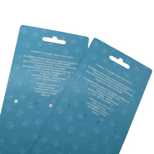 Blister Paper Card Manufacturer in China - Wholesale & OEM