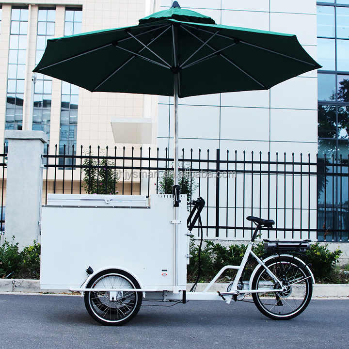 Electric Ice Cream Tricycle - Perfect for Mobile Business