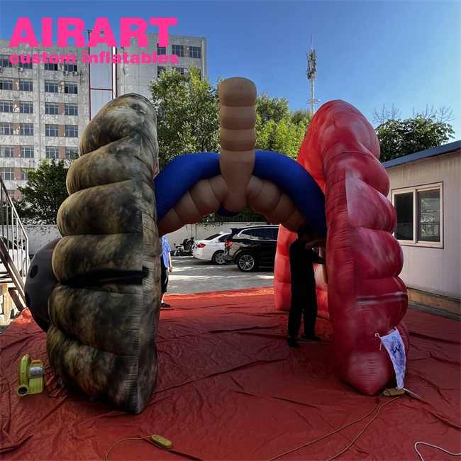 Vividly Inflatable Lungs,inflatable Cancerous Lung for Teaching Display ...