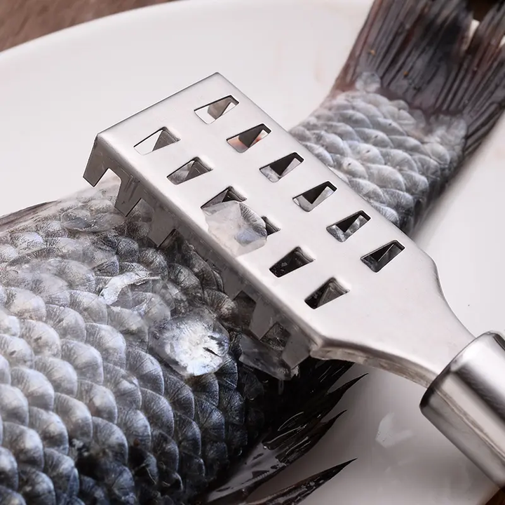 Stainless Steel Fish Scale Remover - Eco-Friendly Kitchen Utensil