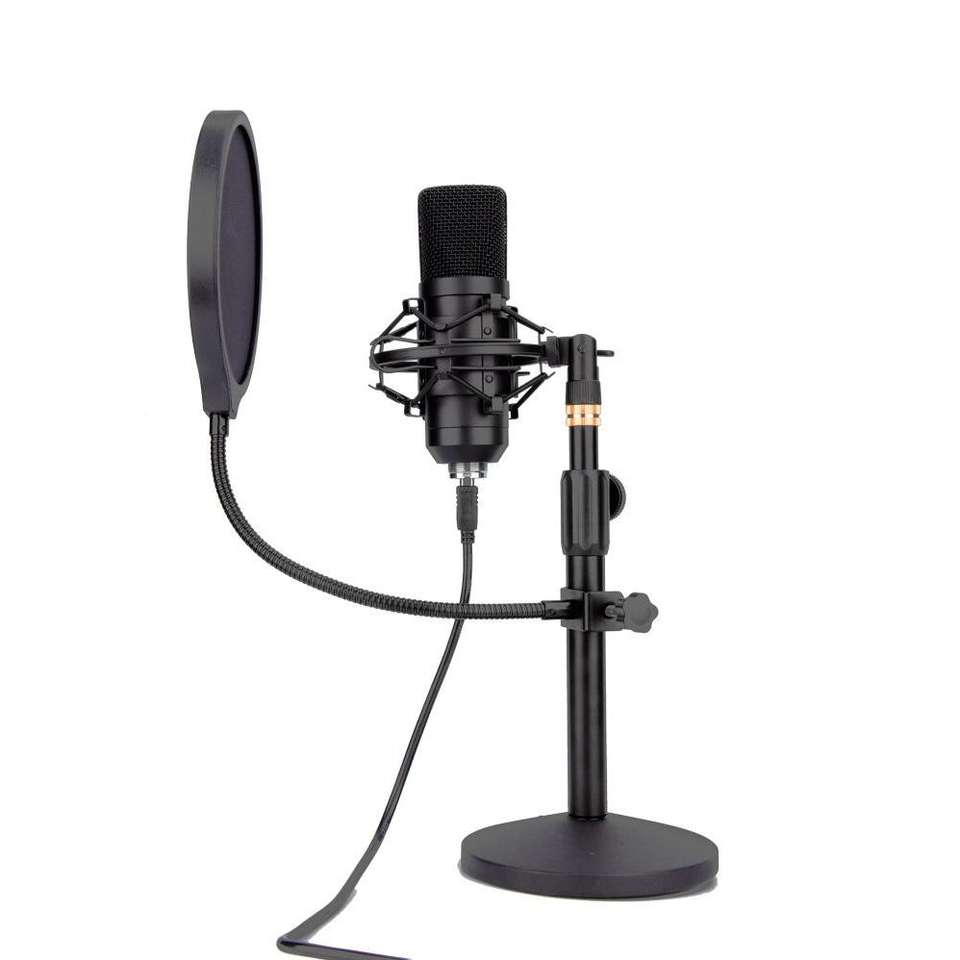 Portable Condenser Microphone Adjustable Height Studio Desktop Stand ...