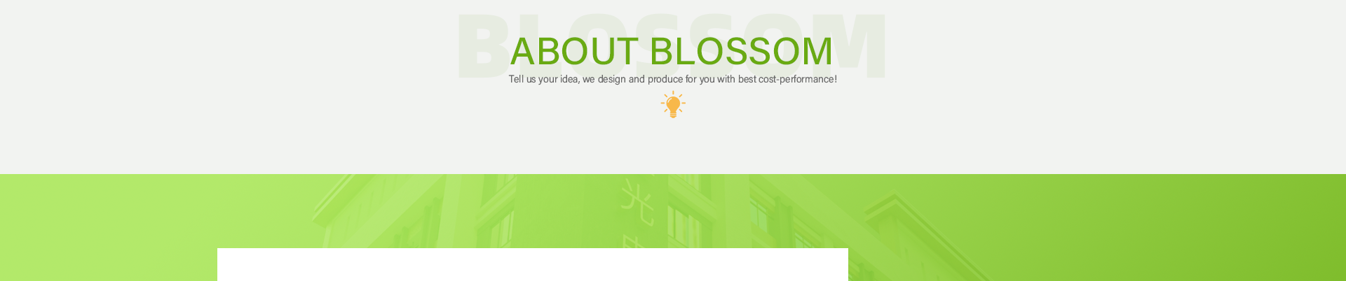 SHENZHEN BLOSSOM LIGHTING CO., LIMITED