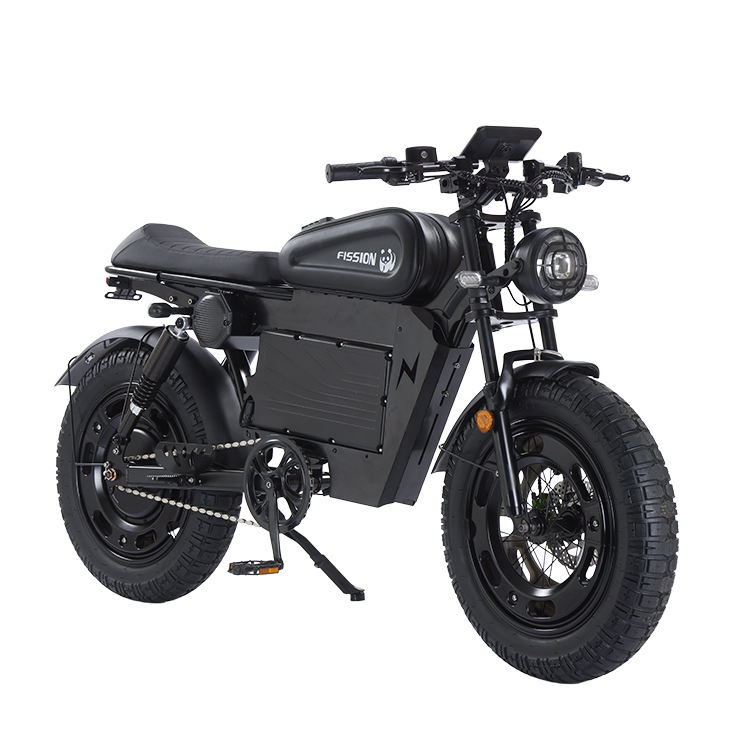 48V 1500W Fat Tire Electric bicycle Electric Off-road bicycle Adult ...