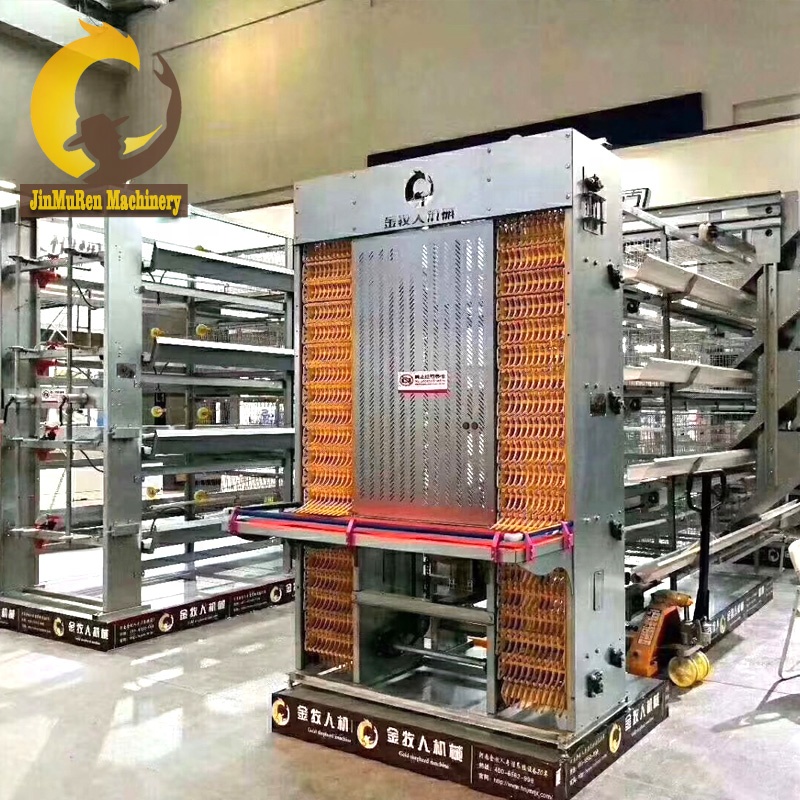 On Sale Automatic Egg Collecting Machine High-Capacity Egg Collection ...