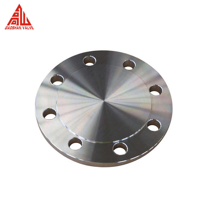 DIN Blind Flange - SS316 PN40 DN50 - Standard & Durable