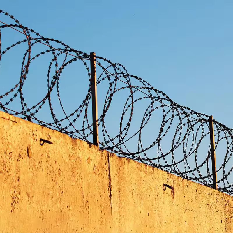 High Quality Single Razor Wire Mesh Fence Low Priced Iron Wire Barbed ...