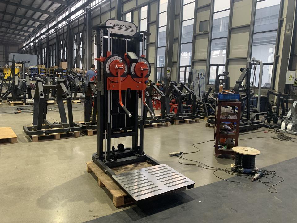 Pin Loaded Commercial Use for Gym Lateral Raise Fitness Equipment Power ...