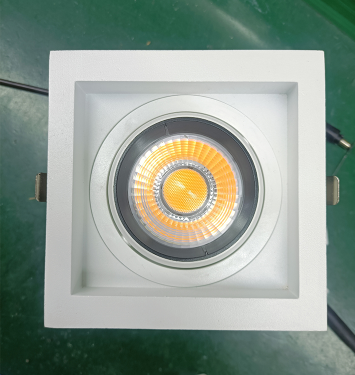 Lighting Solutions - Efficient Double-Headed LED Downlights
