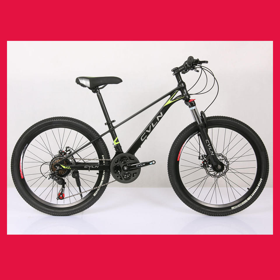 24 Carbon Steel Mountain Bike with Fork Suspension Double Disc Brakes ...