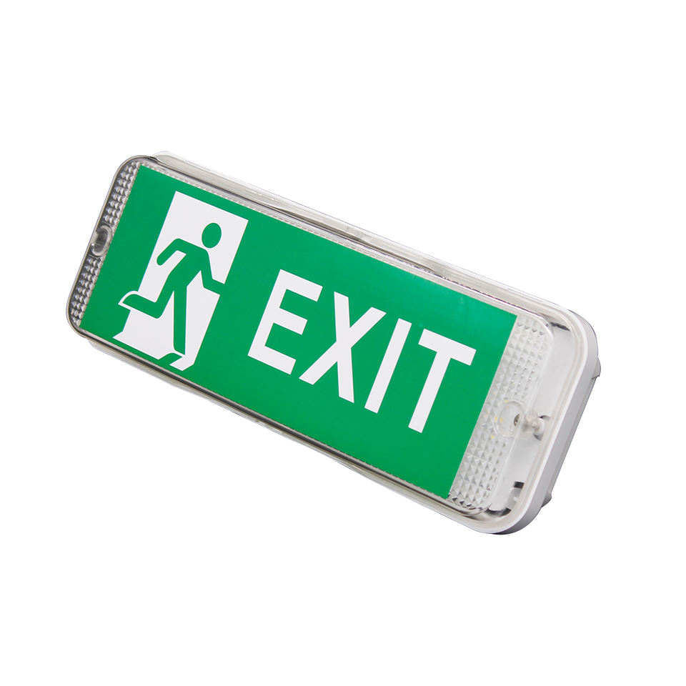 Civil Defence Approved Emergency Light with IP65 Degree of protection ...