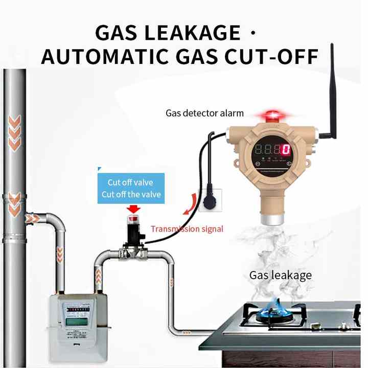 Point Flammable Combustible Hydrogen Acetylene C2H2 Fixed Single Gas ...