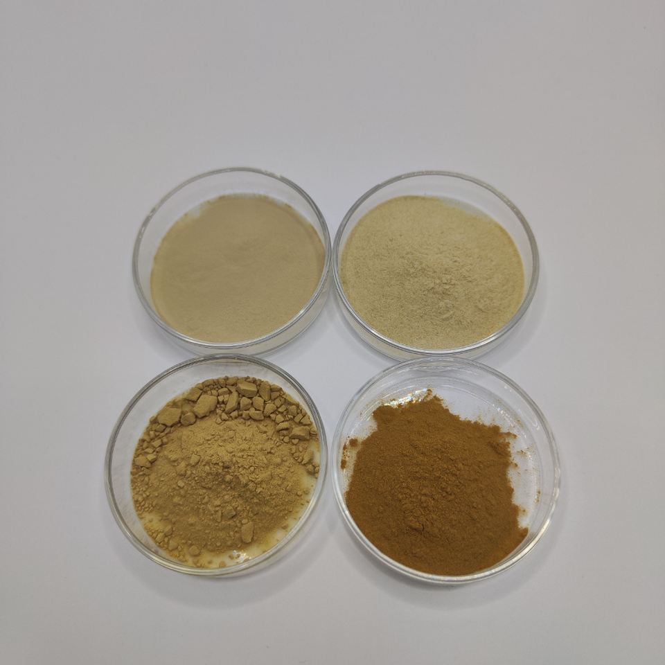 High Purity Rehmannia Glutinosa Extract Radix Rehmanniae Preparata Root ...