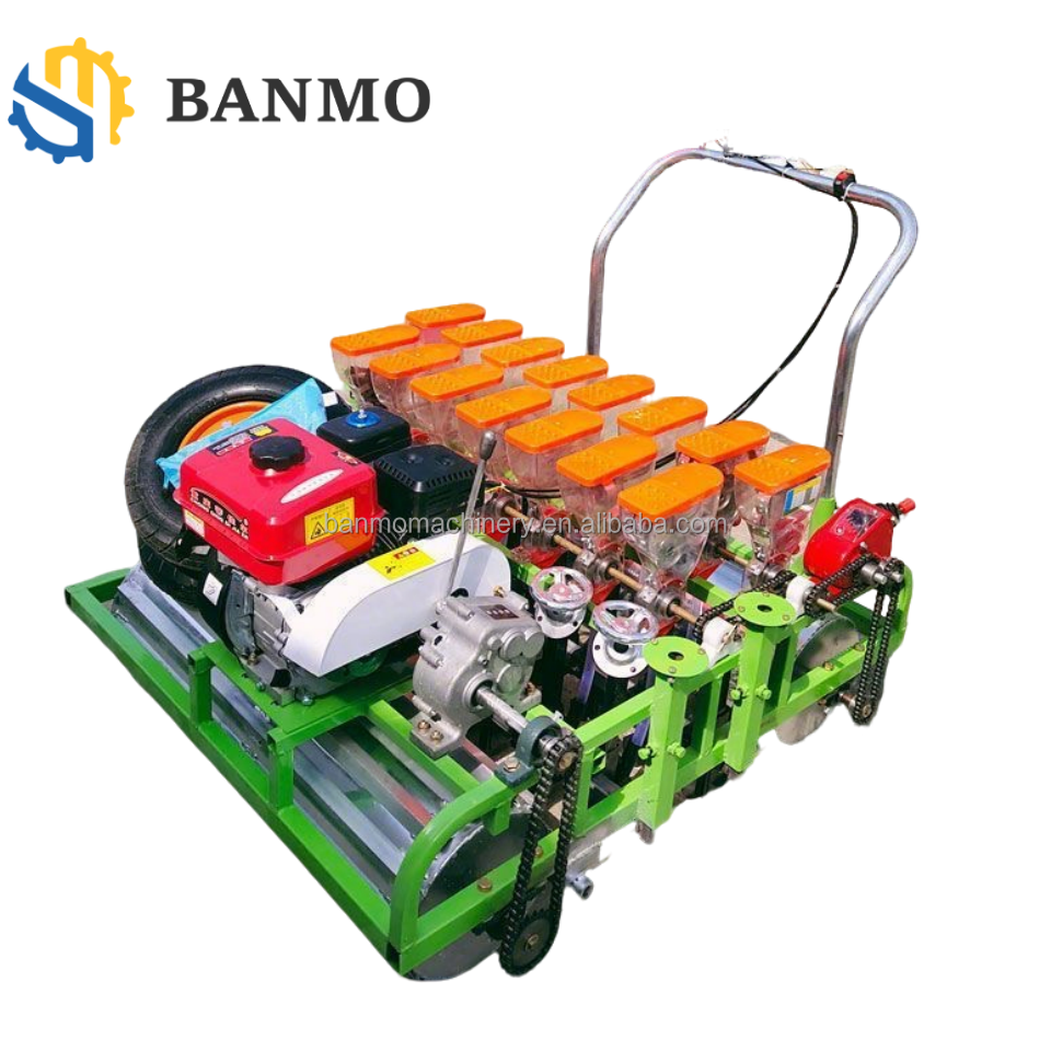 Precision Vegetable Seeder with Adjustable Plant Spacing for Home ...