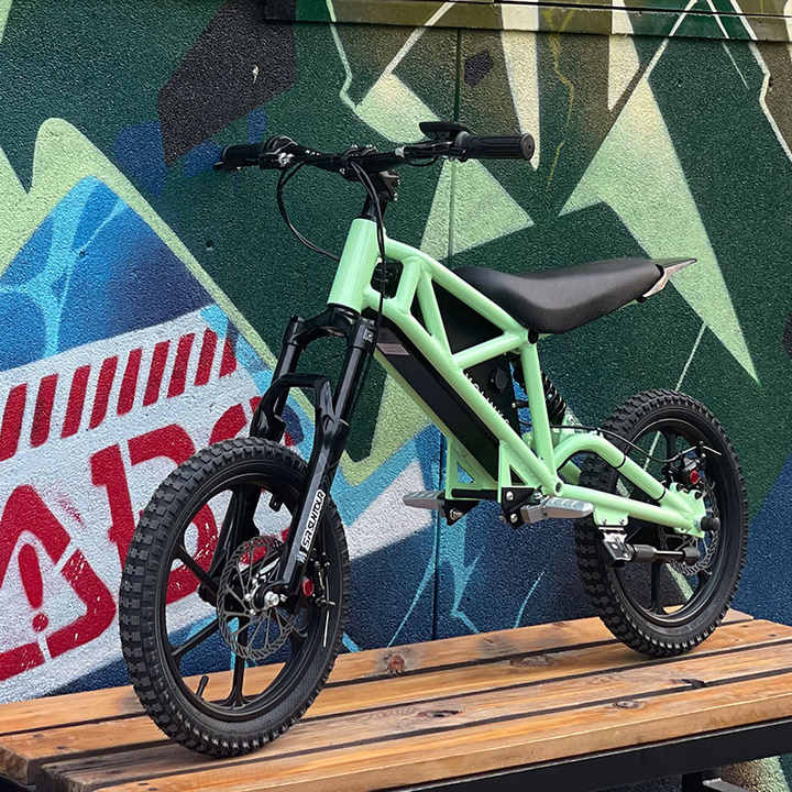 MOLINKS MOK Kids Lightweight MTB Electric Dirt Bike