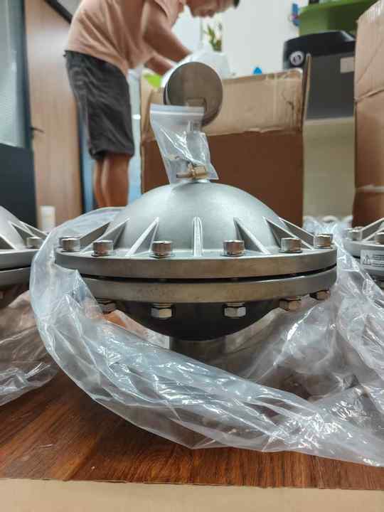 DN40 4L SS316 Diaphragm Type Pulsation Damper for Dosing Metering Pump ...