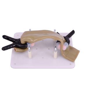 Intestinal Anastomosis Training Models for Medical Education