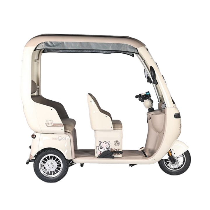 Electric Cargo Trike Canopy - 1000W Motor Power & 400kg Capacity