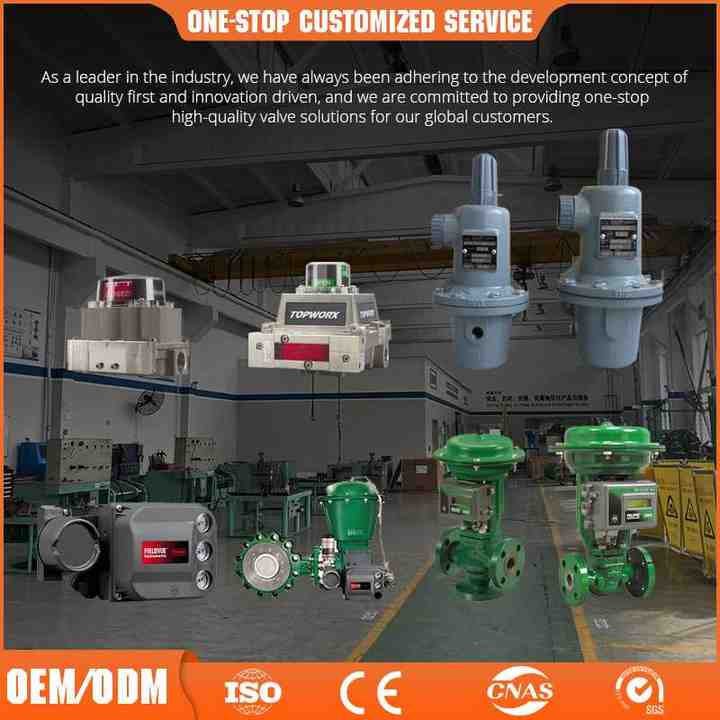 OEM ODM Topworx DXP Controllers GO Switch Sensing Technology Limit ...