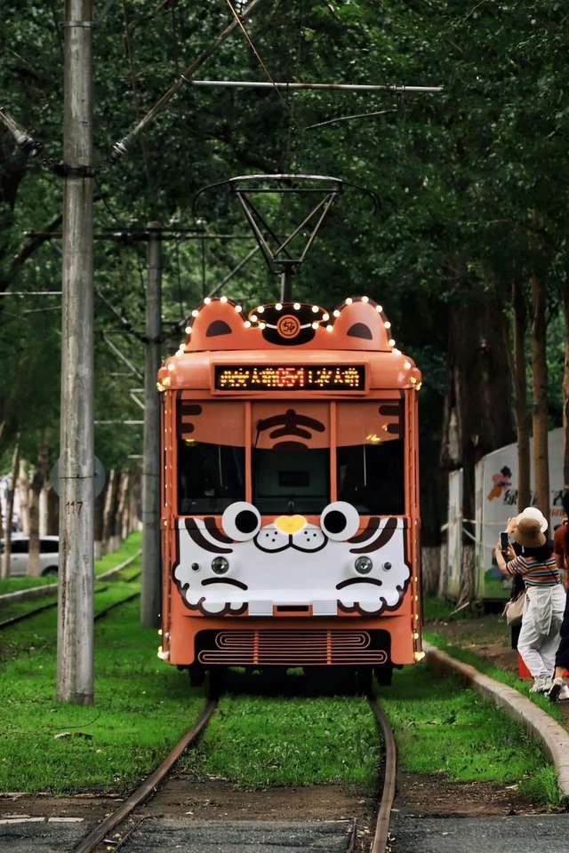 Bespoke Vintage Sightseeing Tram | Customizable Design & Adjustable ...