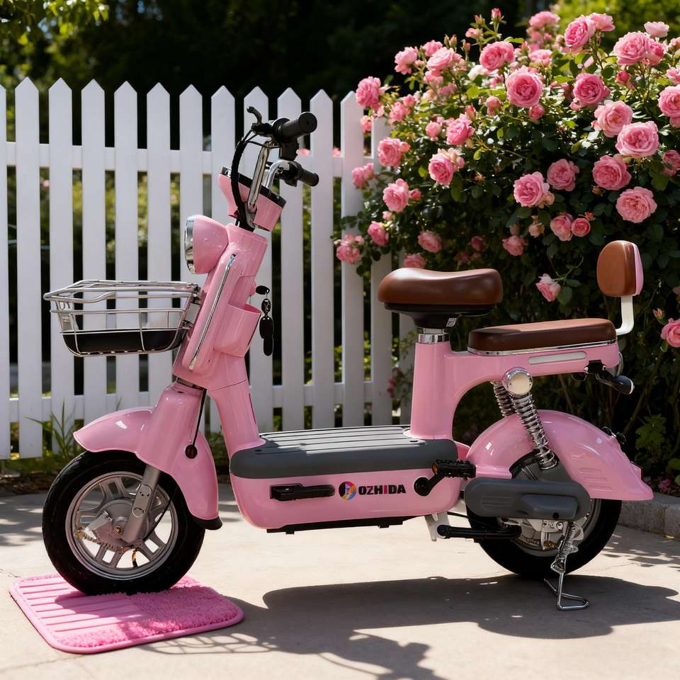 450w 2 Wheel Electric Motorcycle with Pedals Electric Scooter Moped ...
