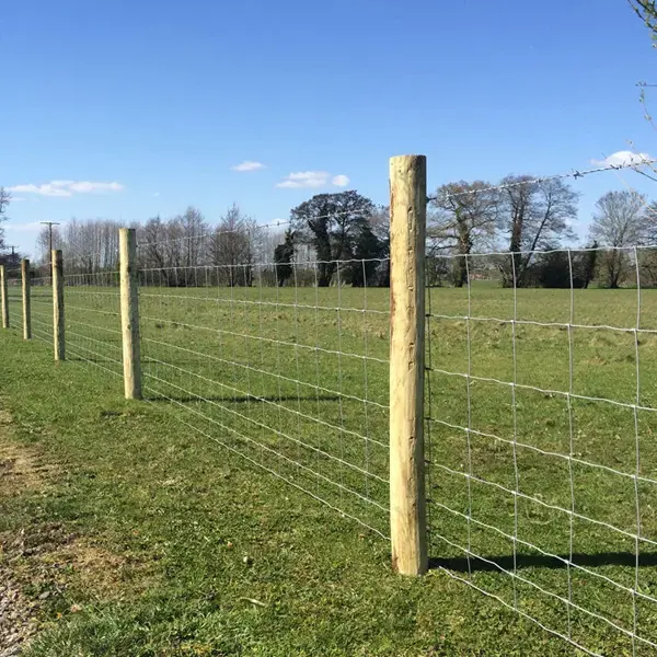 Farm Mesh Fence - Durable Galvanized Wire for Cattle & Deer