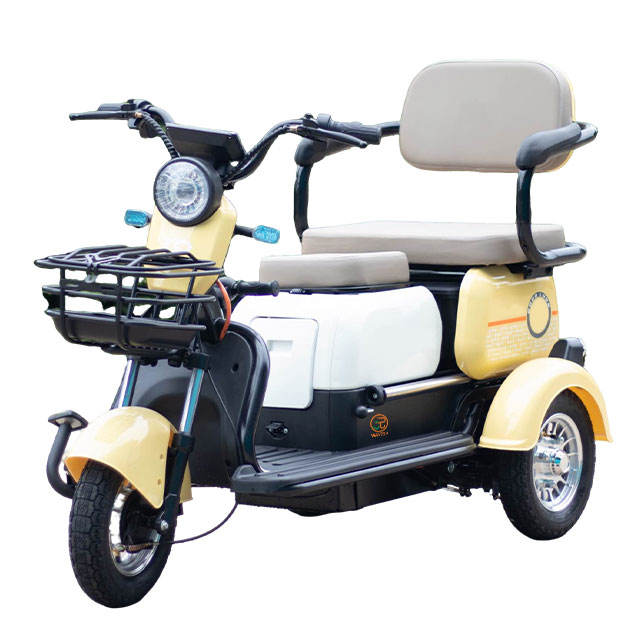 Electric Tricycle for Adult Three Wheels Electric Bicycle 48V 600W Fat ...