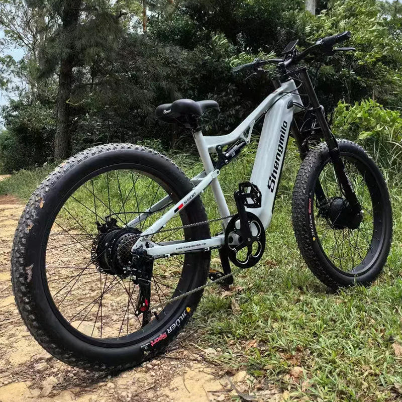 Shengmilo Cross-Border Customized 26-Inch Rear Hub Brushless Motor ...