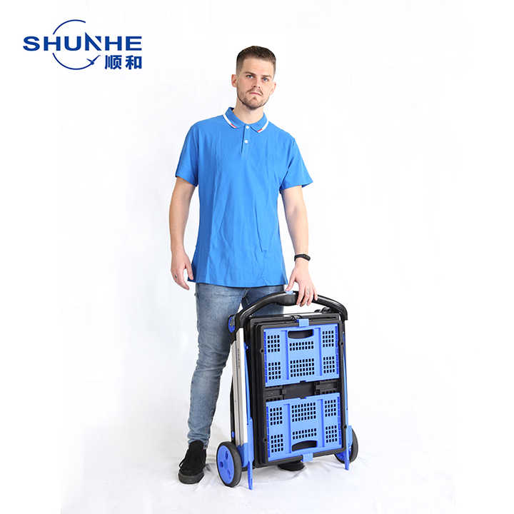 Double Layer Portable Folding Trolley Shopping Carts with Basket ...